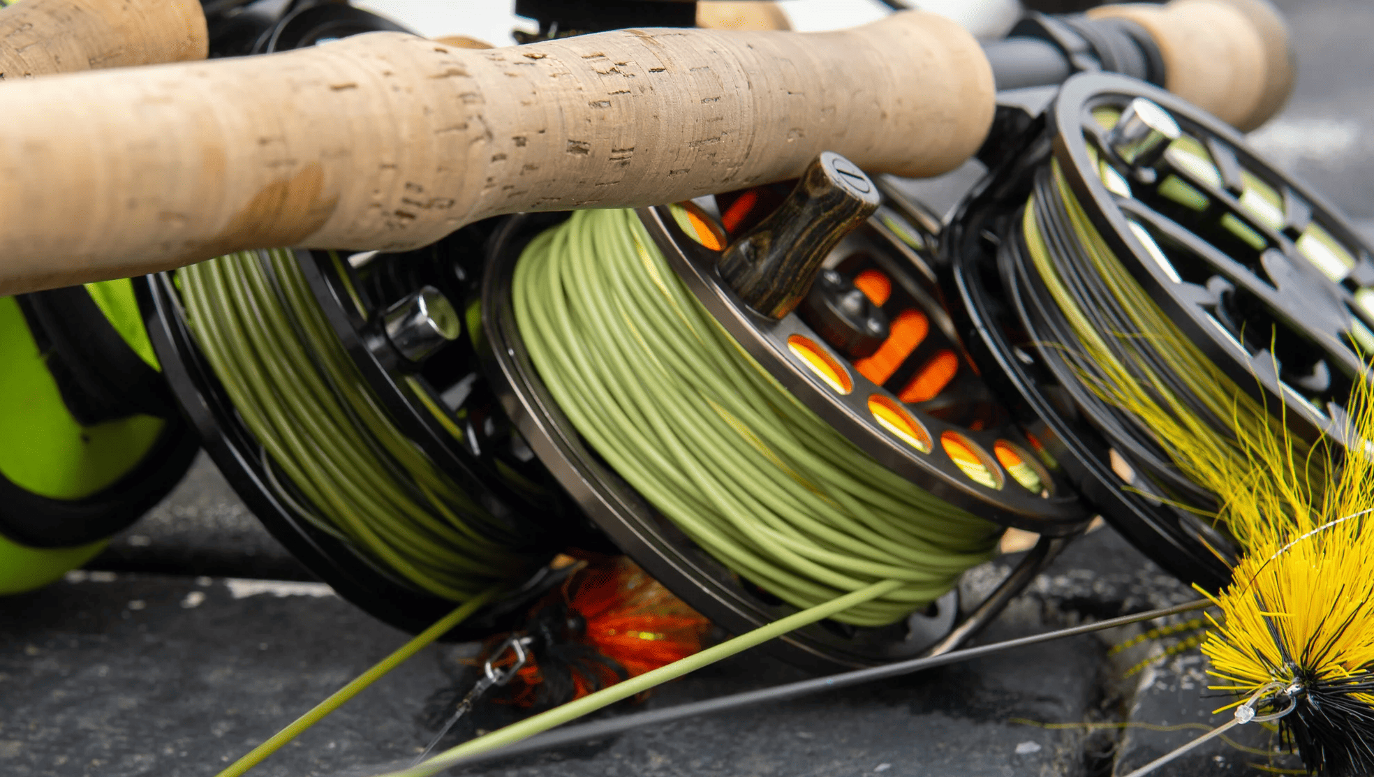 Dacron Fishing Line Review: Strength that Lasts
